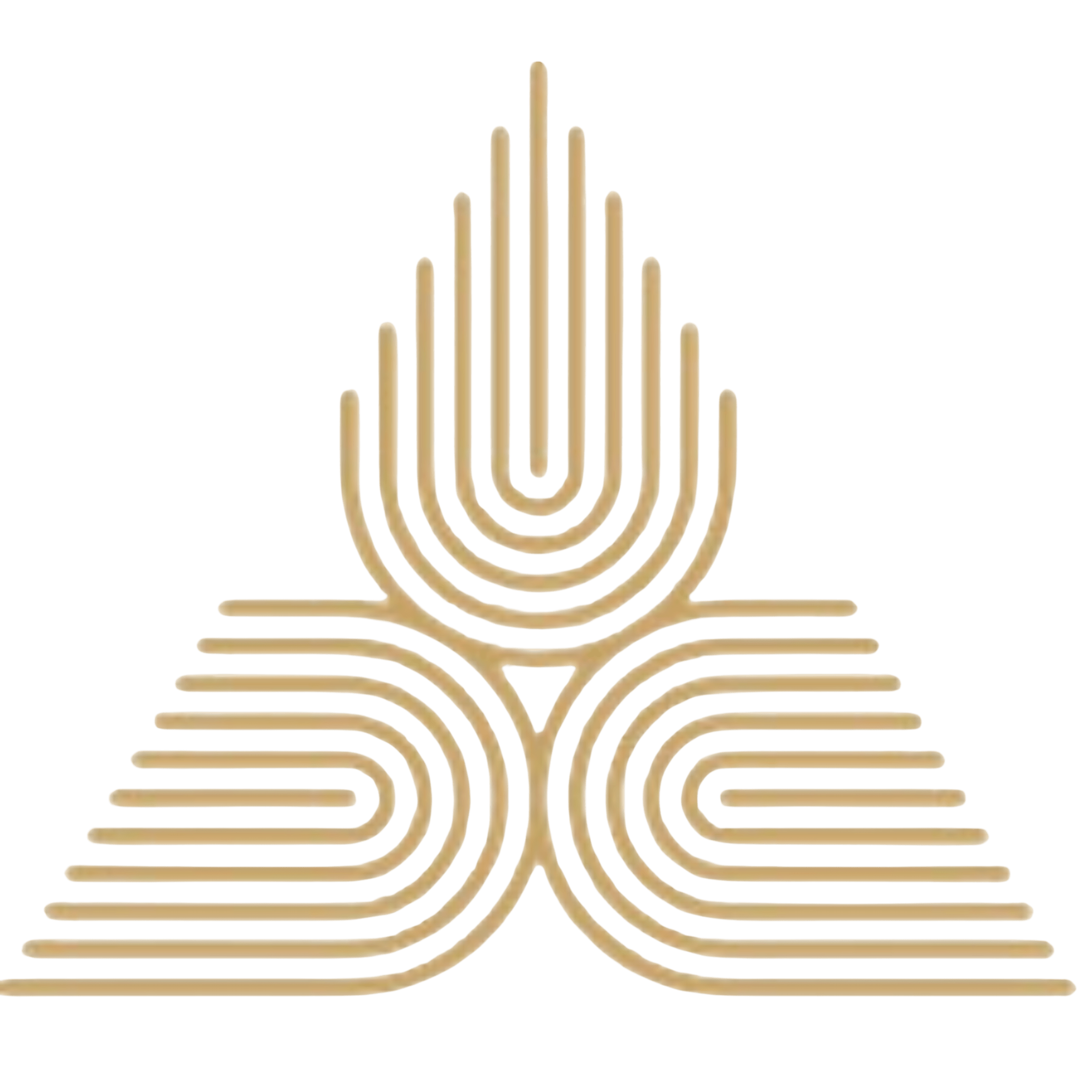 Committees | IFLA Asia-Pacific